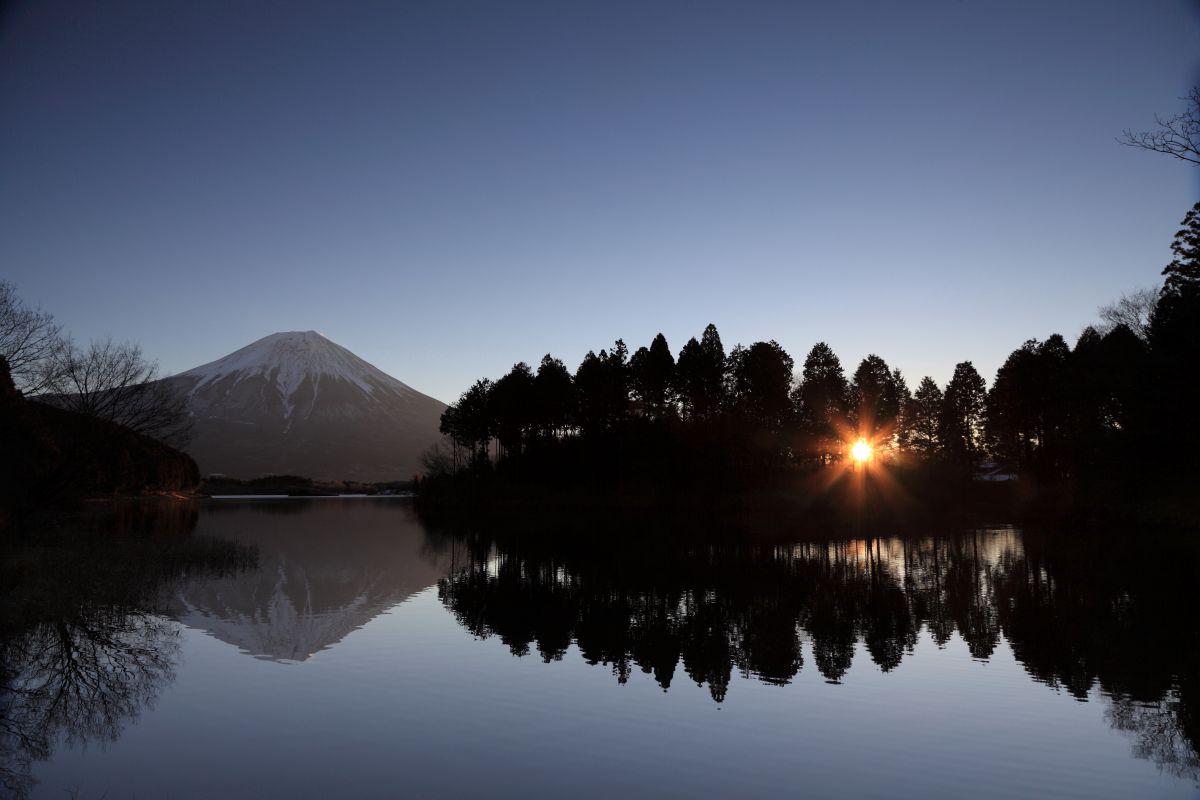 silent light | GANREF