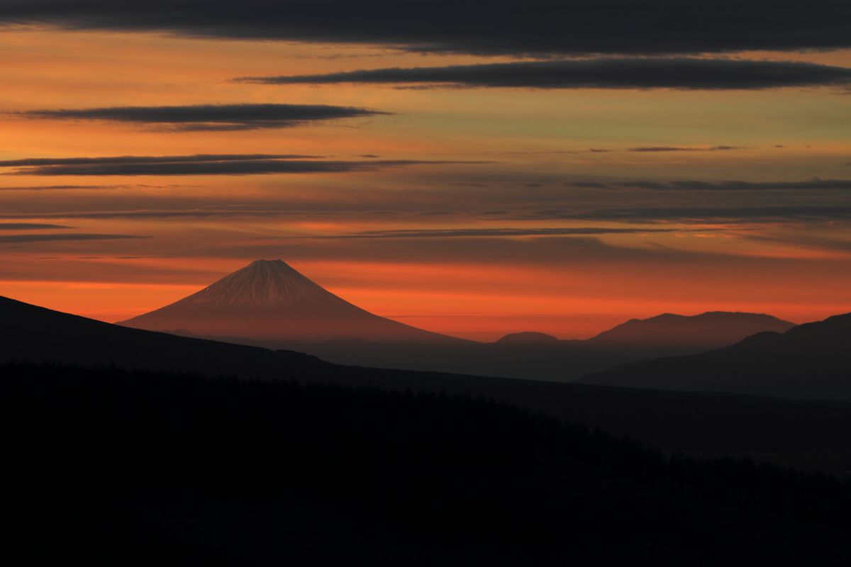 Artistic Cloud* | GANREF