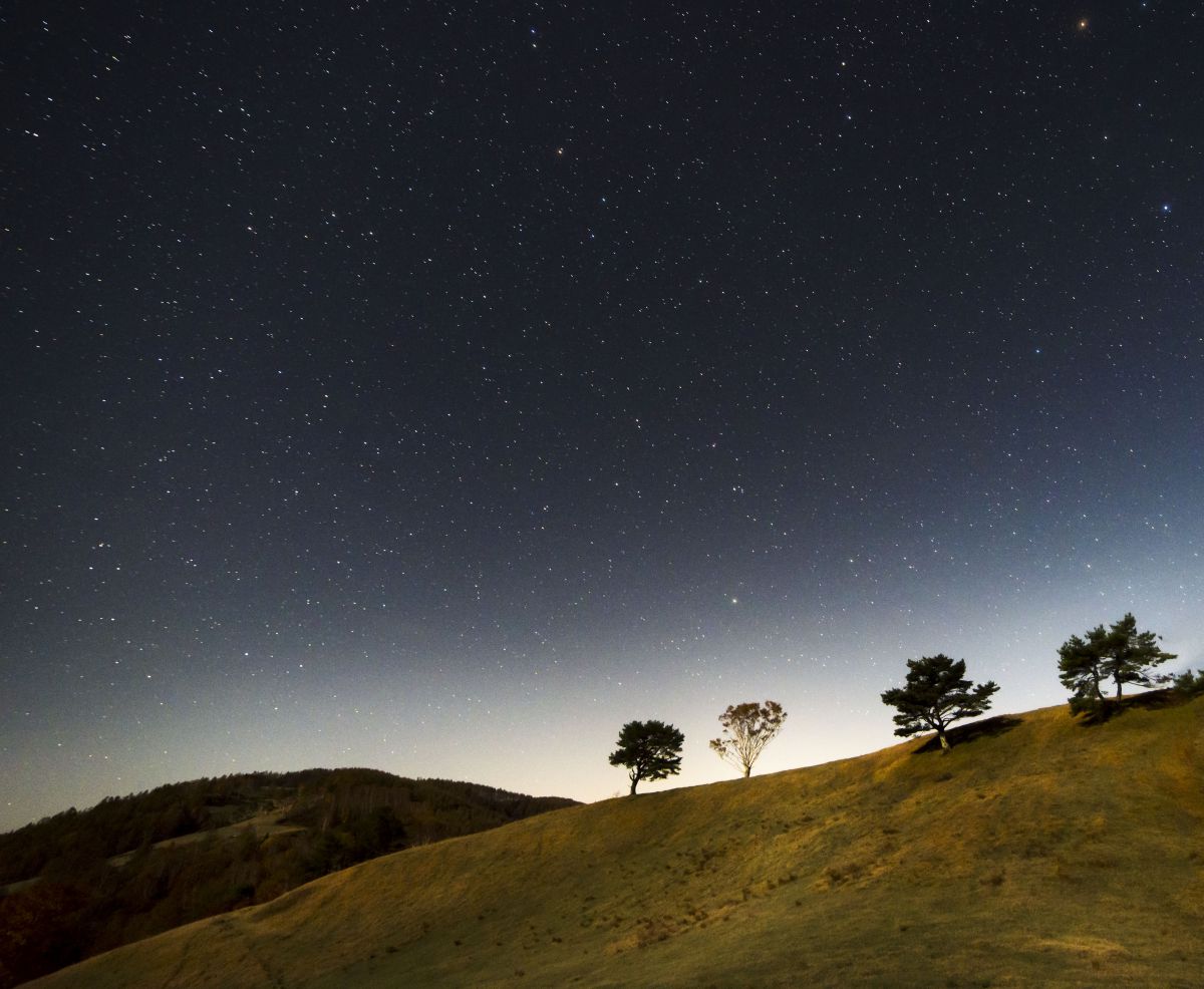 月夜の貴婦人 | GANREF