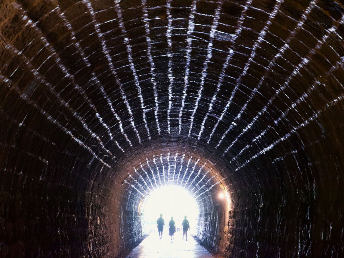 Close Encounters of the Third Kind | GANREF