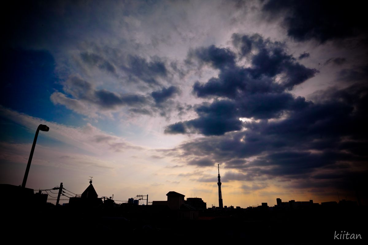 downtown tree | GANREF