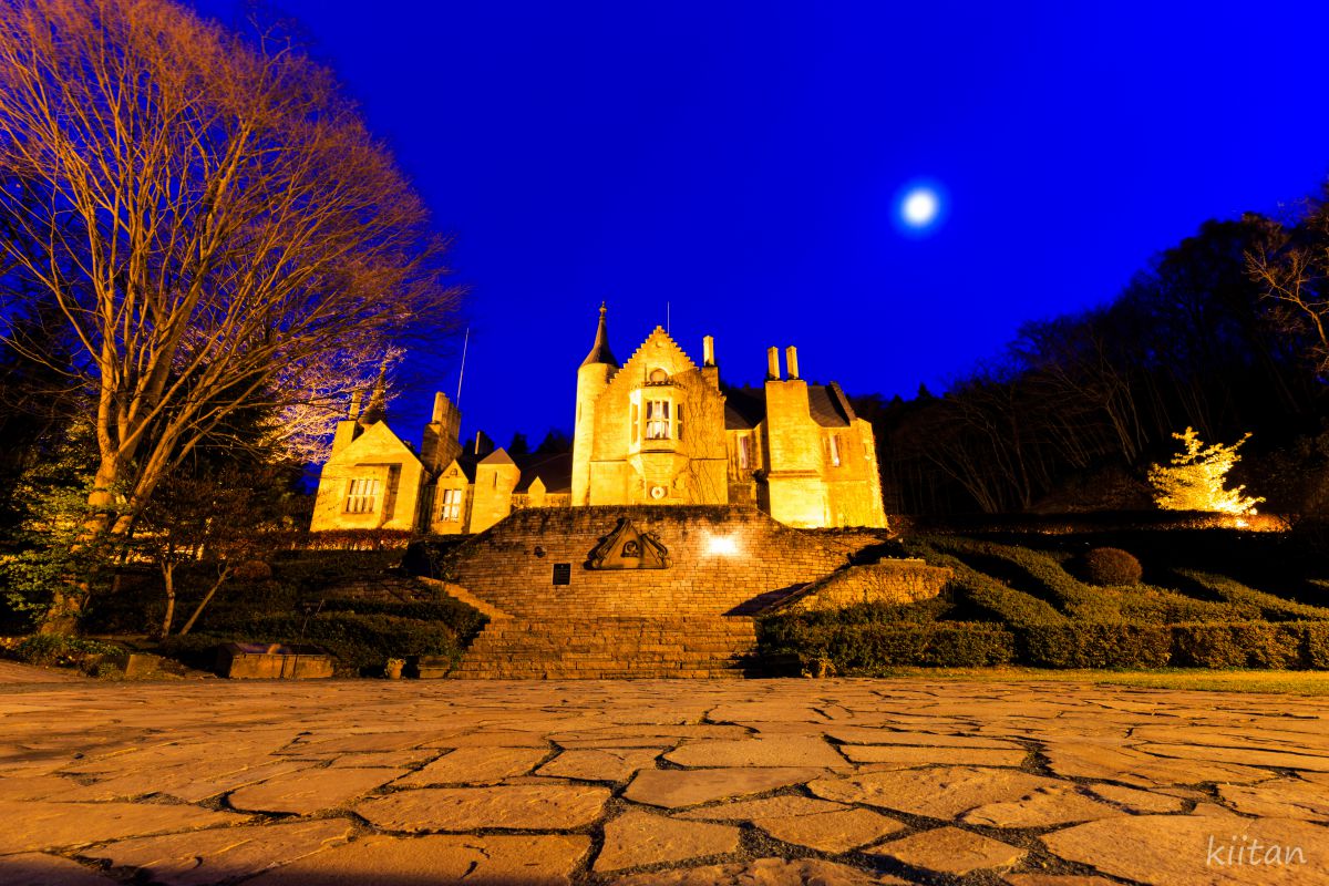 Moon Over The Castle | GANREF