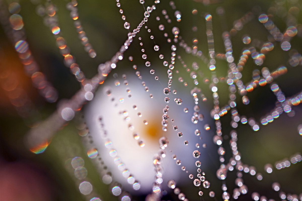 Rainbow Crystal | GANREF