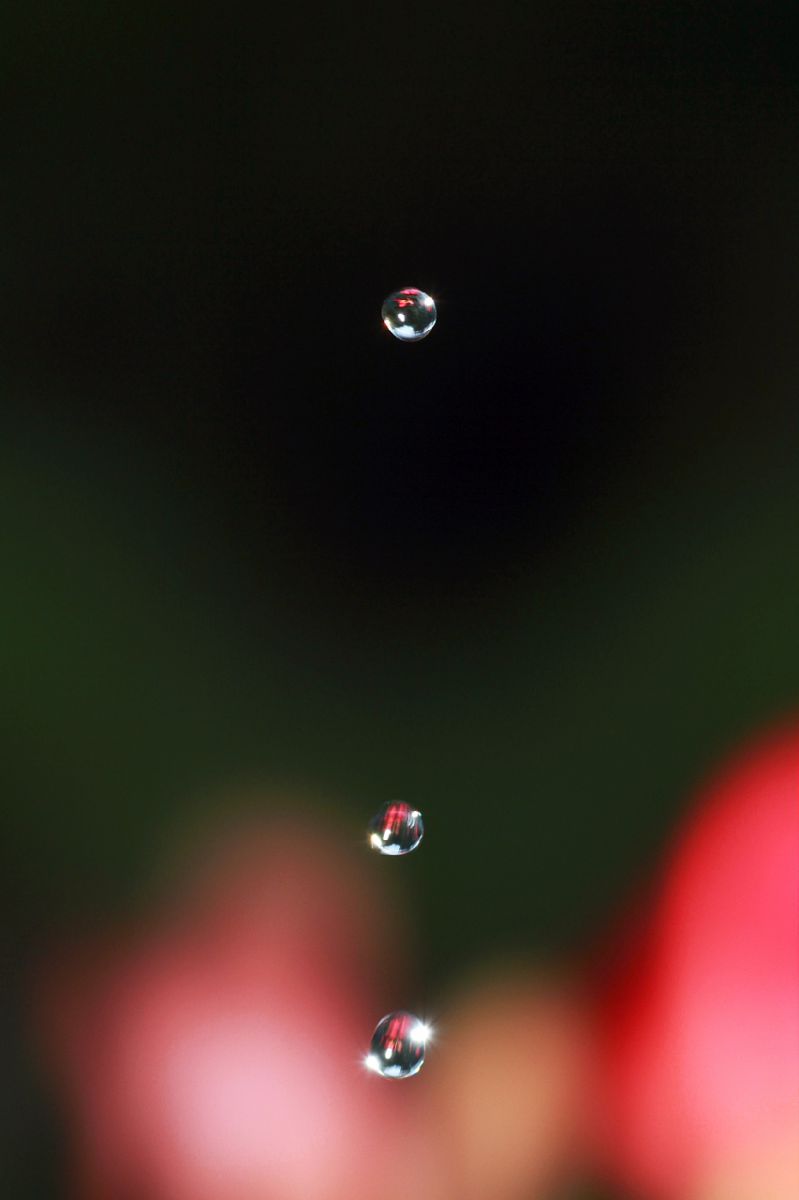 Flower Crystal | GANREF