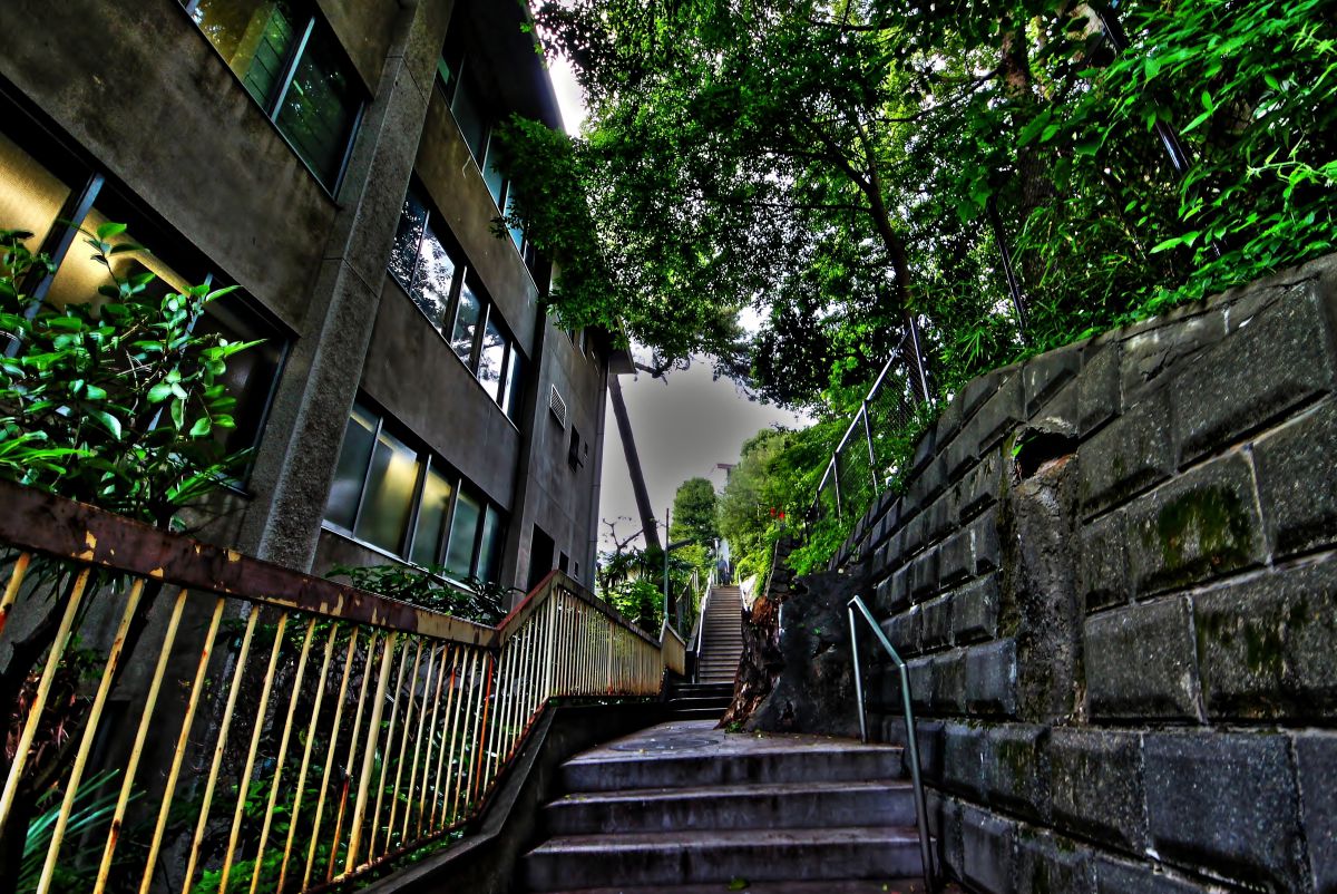 HDR～シリーズ～ | GANREF