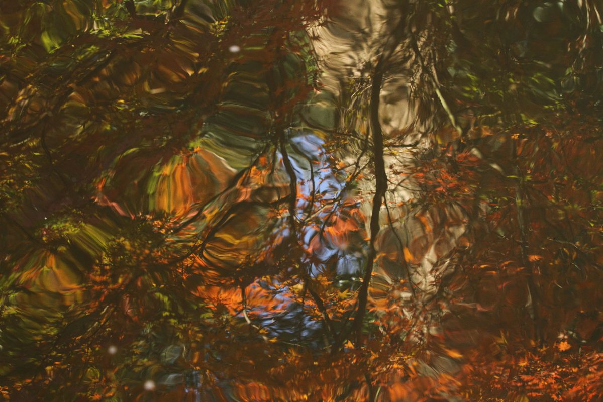 ウルトラQ | GANREF