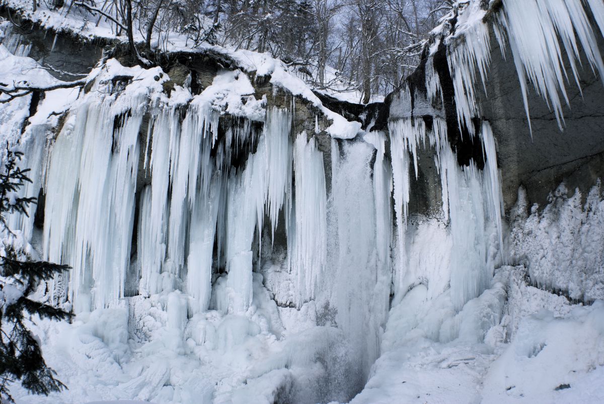 ICEFALL | GANREF