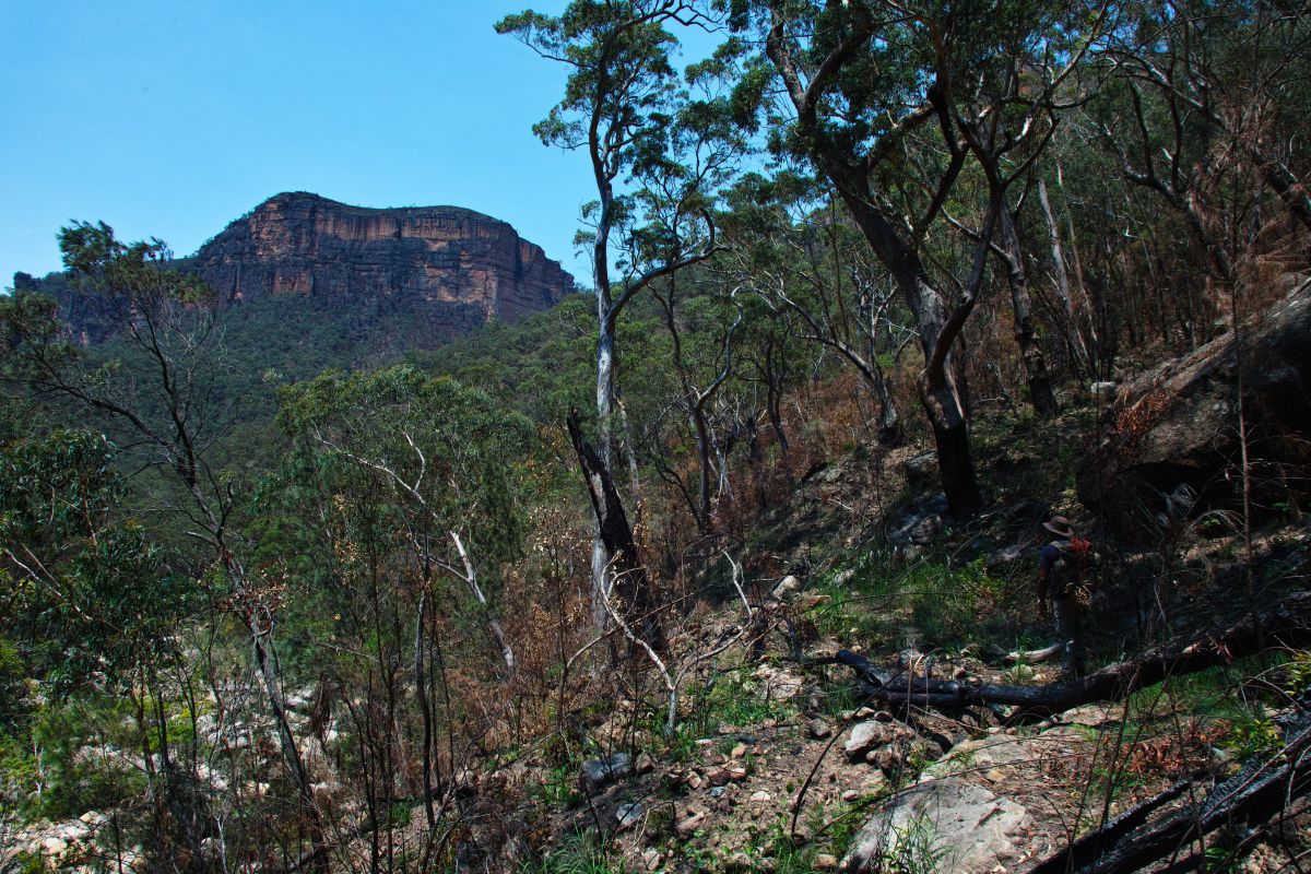 Bushwalking/Blue Mountains National Park | GANREF
