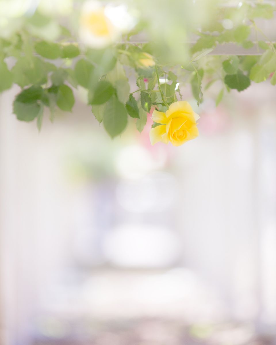 under the stage 2014 | GANREF