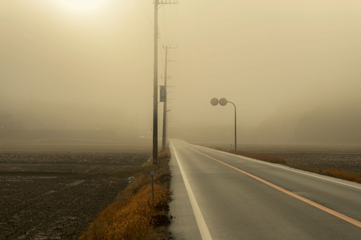 Foggy Road | GANREF