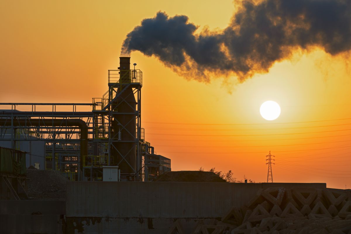 Purple Haze | GANREF