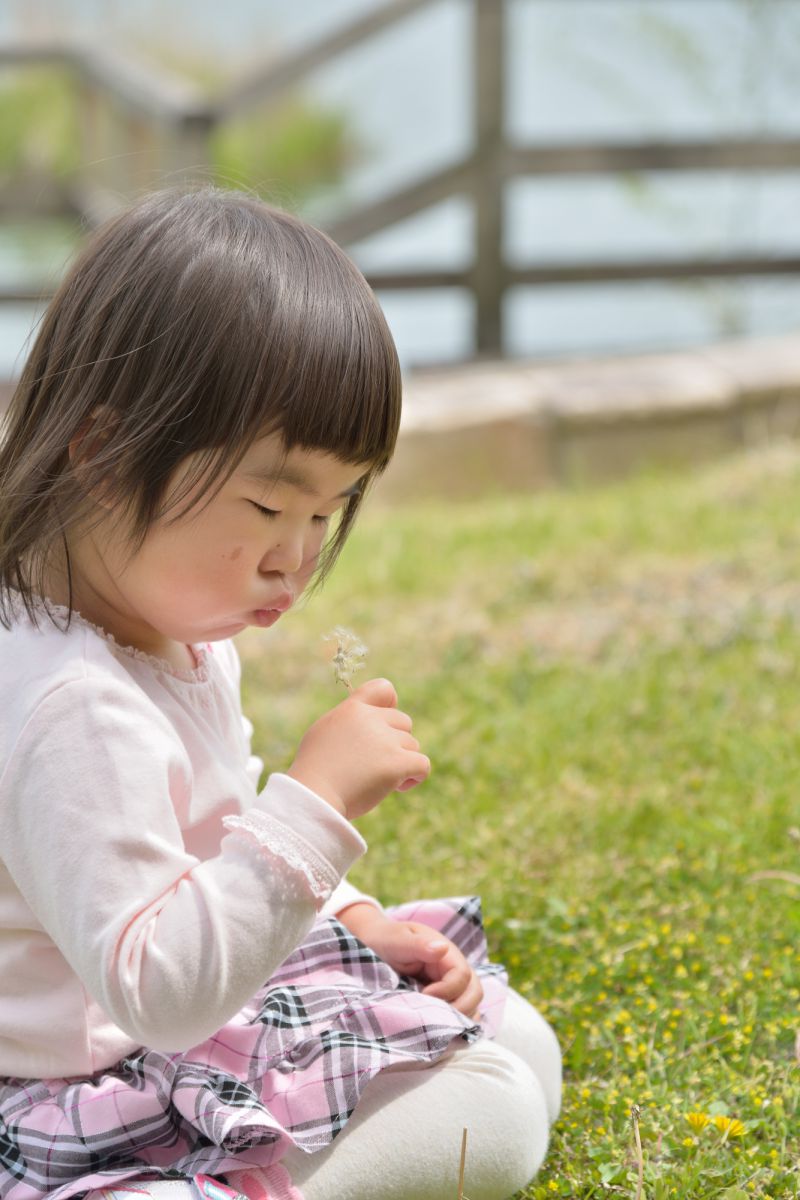 やっぱり飛ばないねぇ～。。。 | GANREF