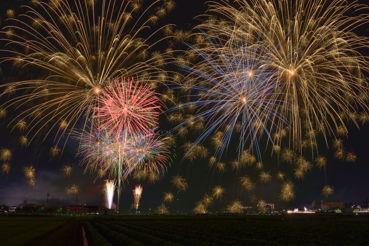 Wonderful Night | GANREF