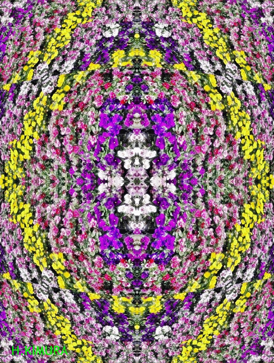 Ring of the flower | GANREF