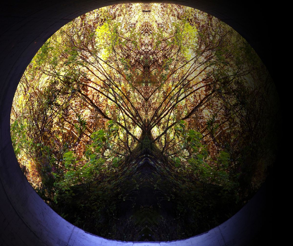 Autumn hole | GANREF