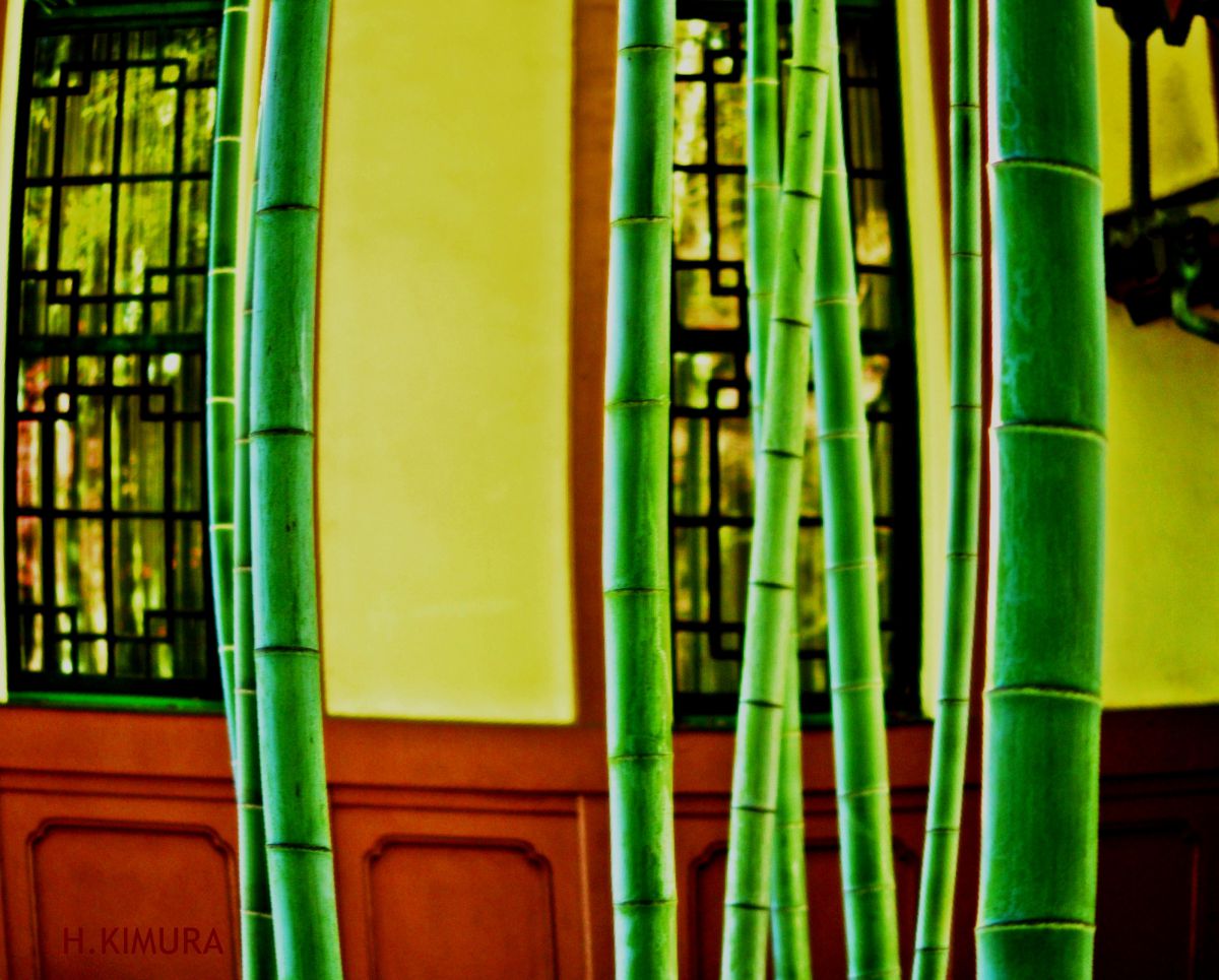 Bamboo | GANREF