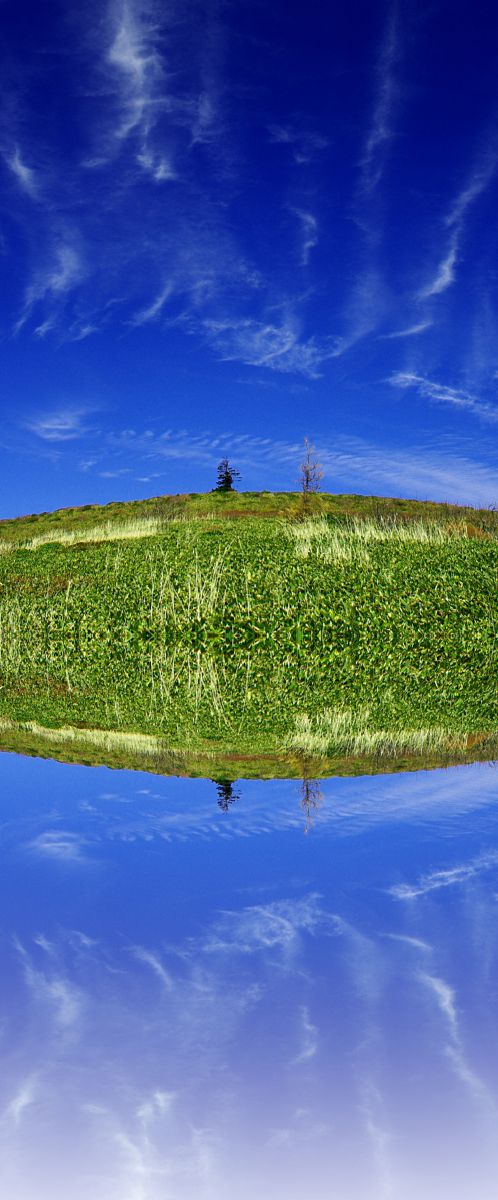 Upper and lower symmetry | GANREF