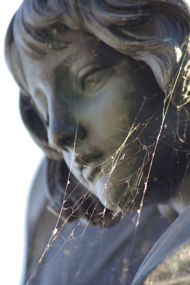 Thread of a spider | GANREF