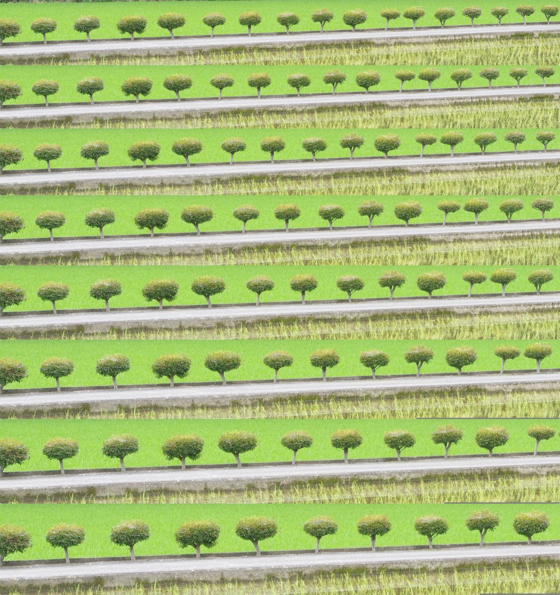 The world of the geometry | GANREF