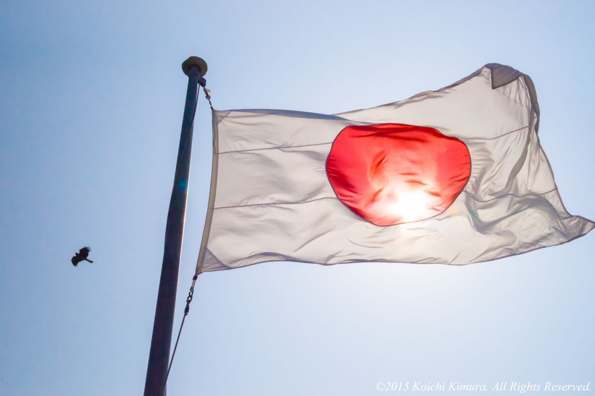 Flag of the sun | GANREF