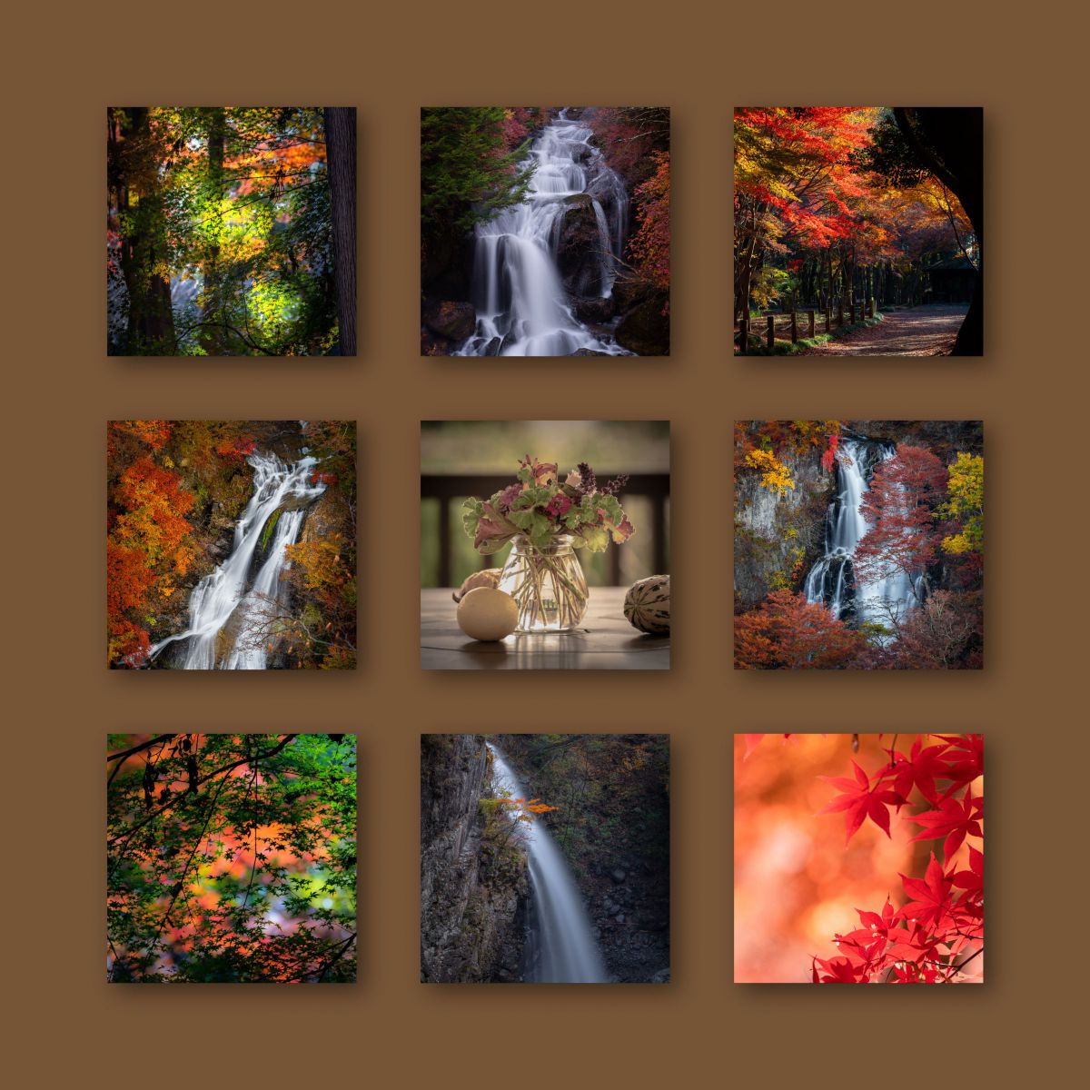 Autumn 2019 | GANREF