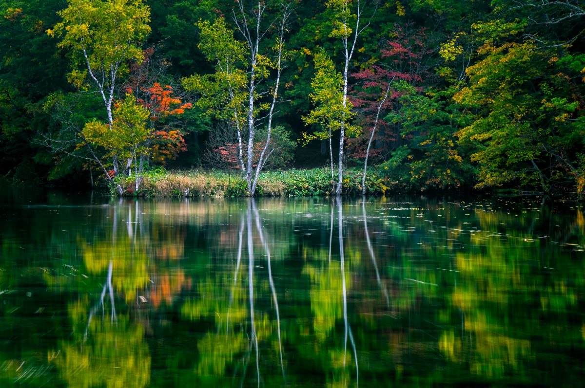 Early autumn | GANREF