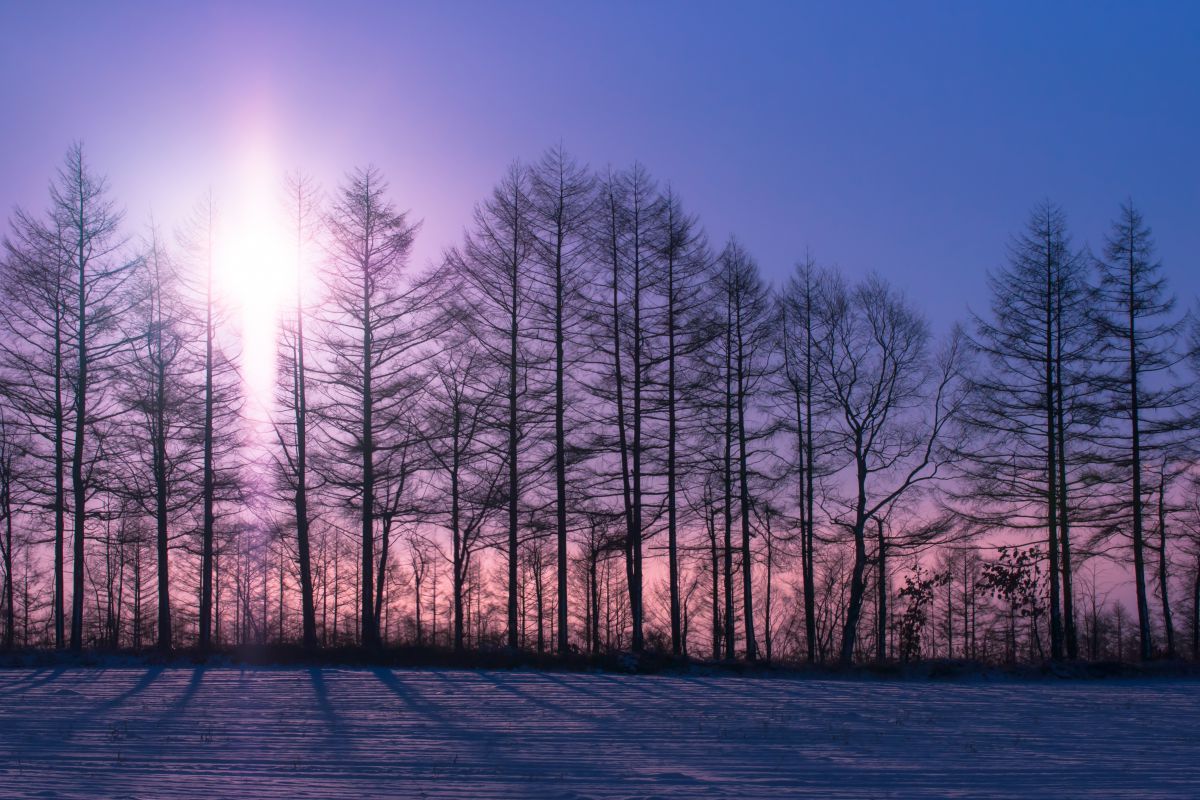 sun pillar・・・？ | GANREF