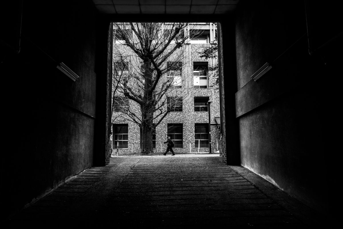 under the tree | GANREF