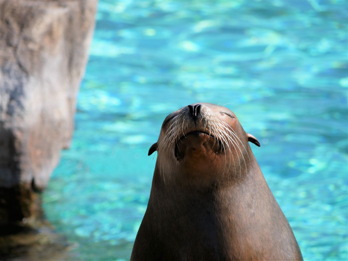 Good feeling | GANREF