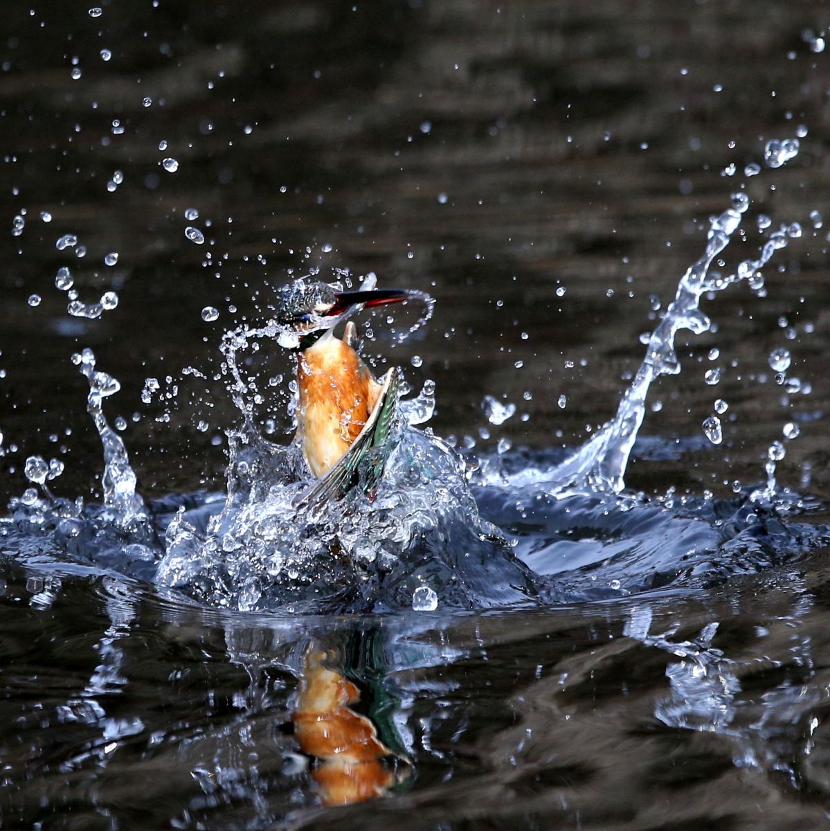 この一瞬^^ | GANREF