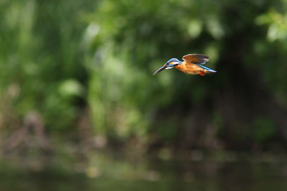 いくぜ_31 | GANREF