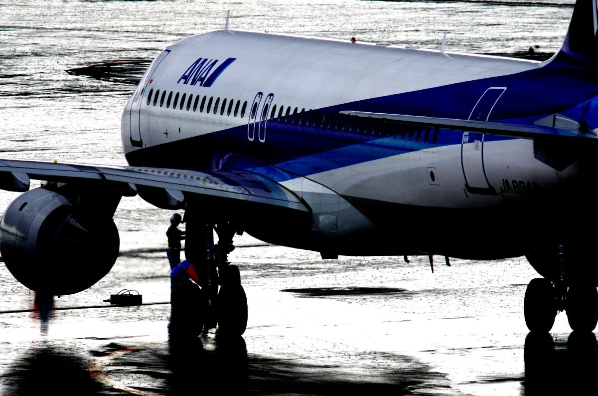 光の中で | GANREF