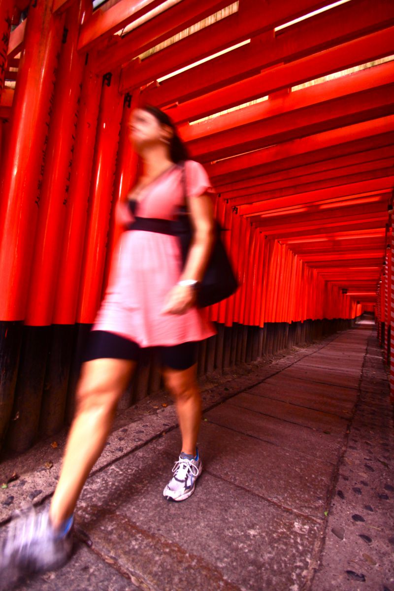 a torii in the work | GANREF