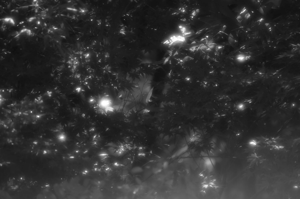 hikarito-nn | GANREF