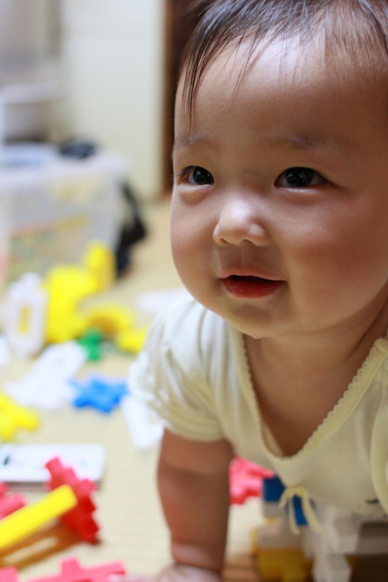 だっちゅうの | GANREF