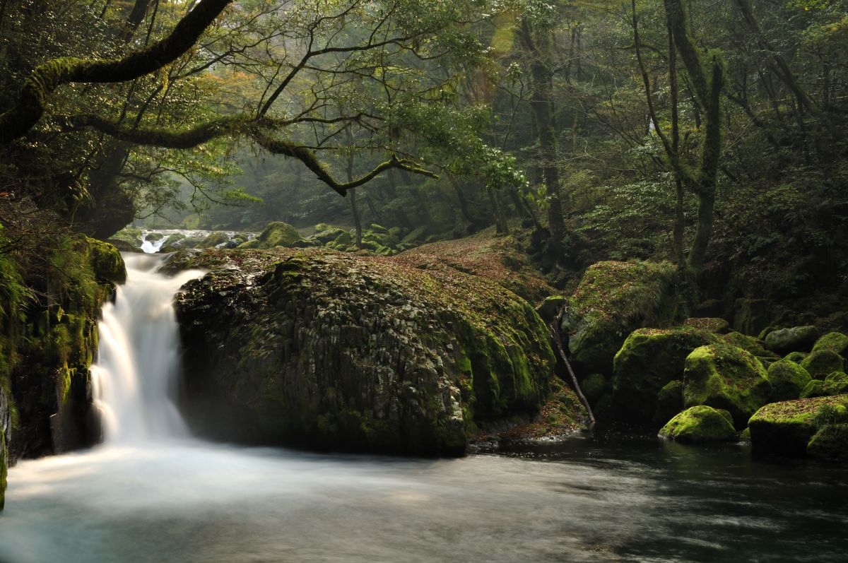 渓谷の秋 | GANREF