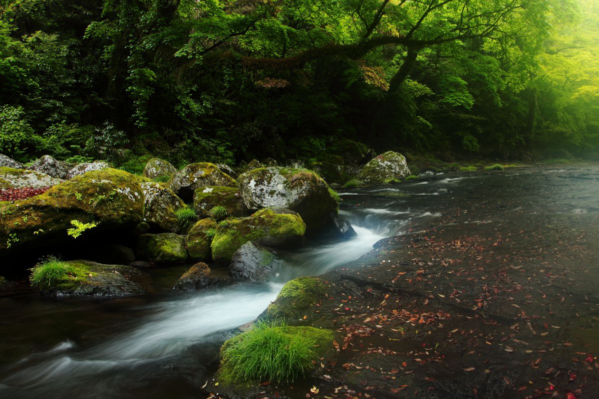 菊池渓谷33 | GANREF