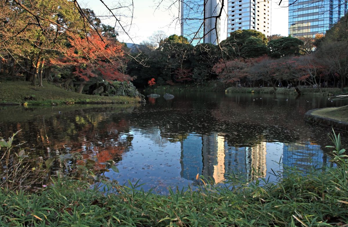 Wの映り込み | GANREF