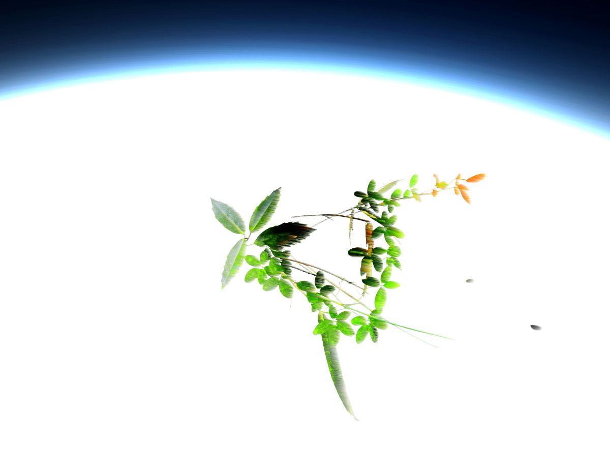 夜間飛行 JET STREAM | GANREF