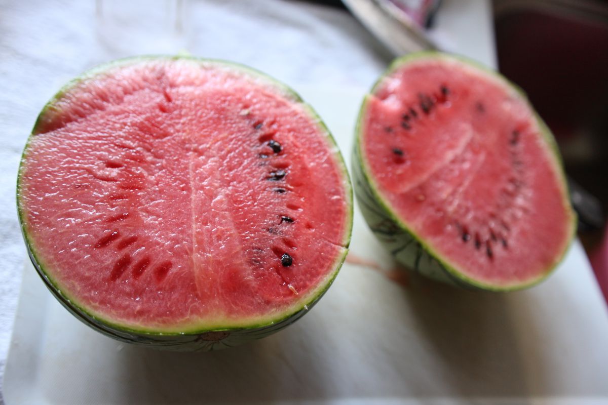 watermelon | GANREF