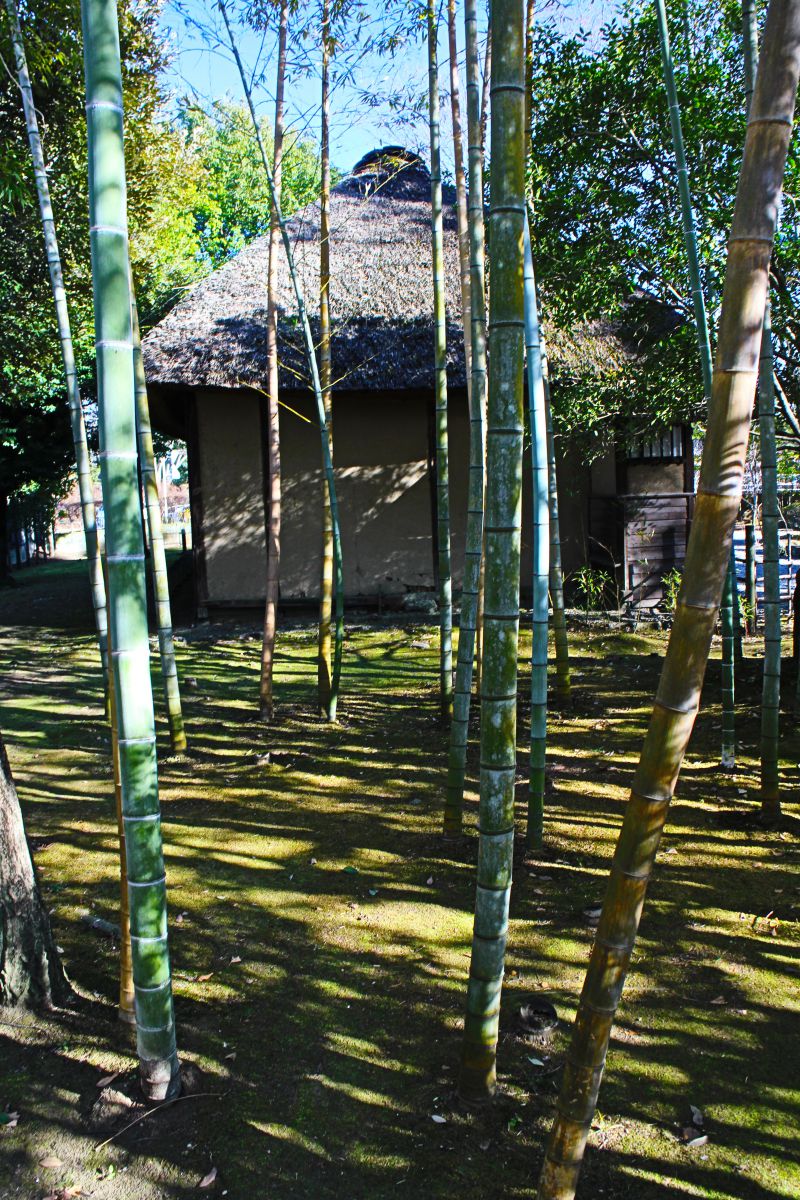 Silent garden | GANREF