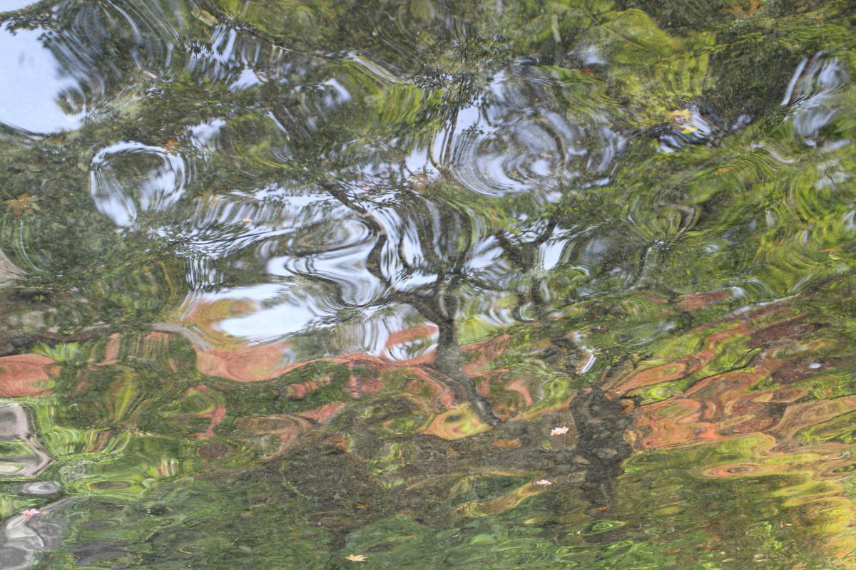 Swaying surface | GANREF