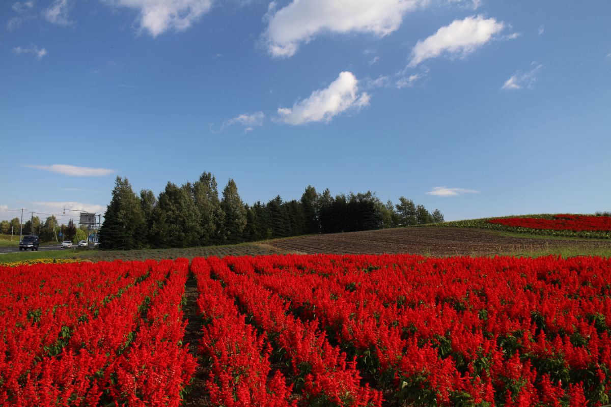 A beautiful landscape | GANREF