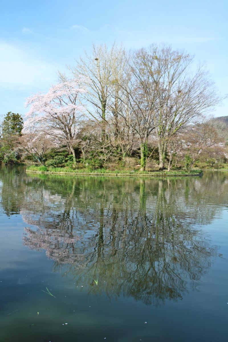 Water surface | GANREF