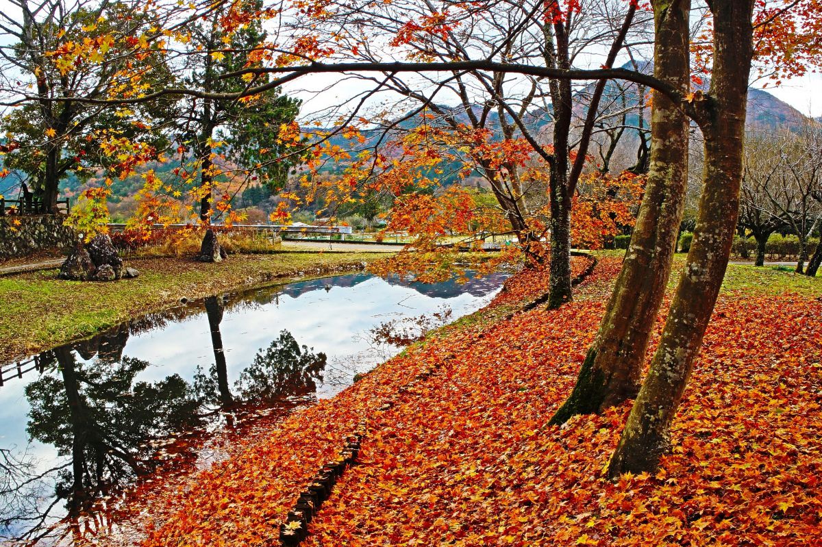 Fall of silence | GANREF