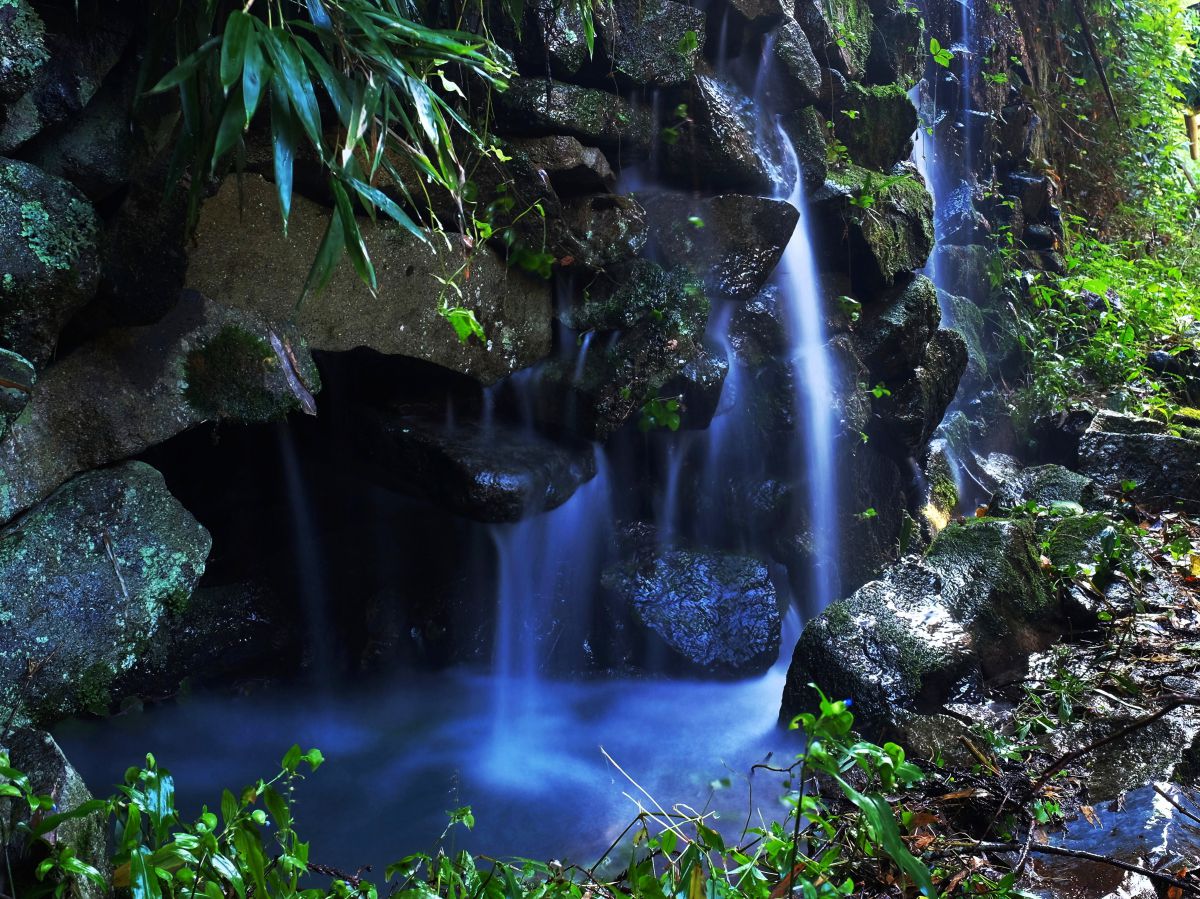 after the typhoon | GANREF