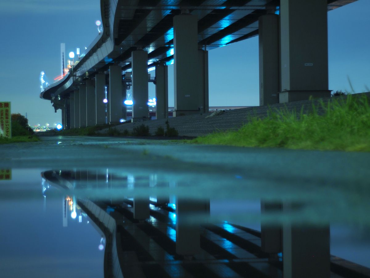 P9062368-002.jpg | GANREF