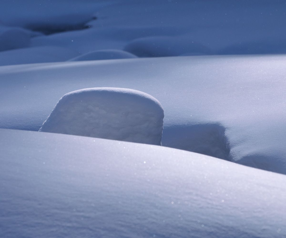 Snow Submarine | GANREF