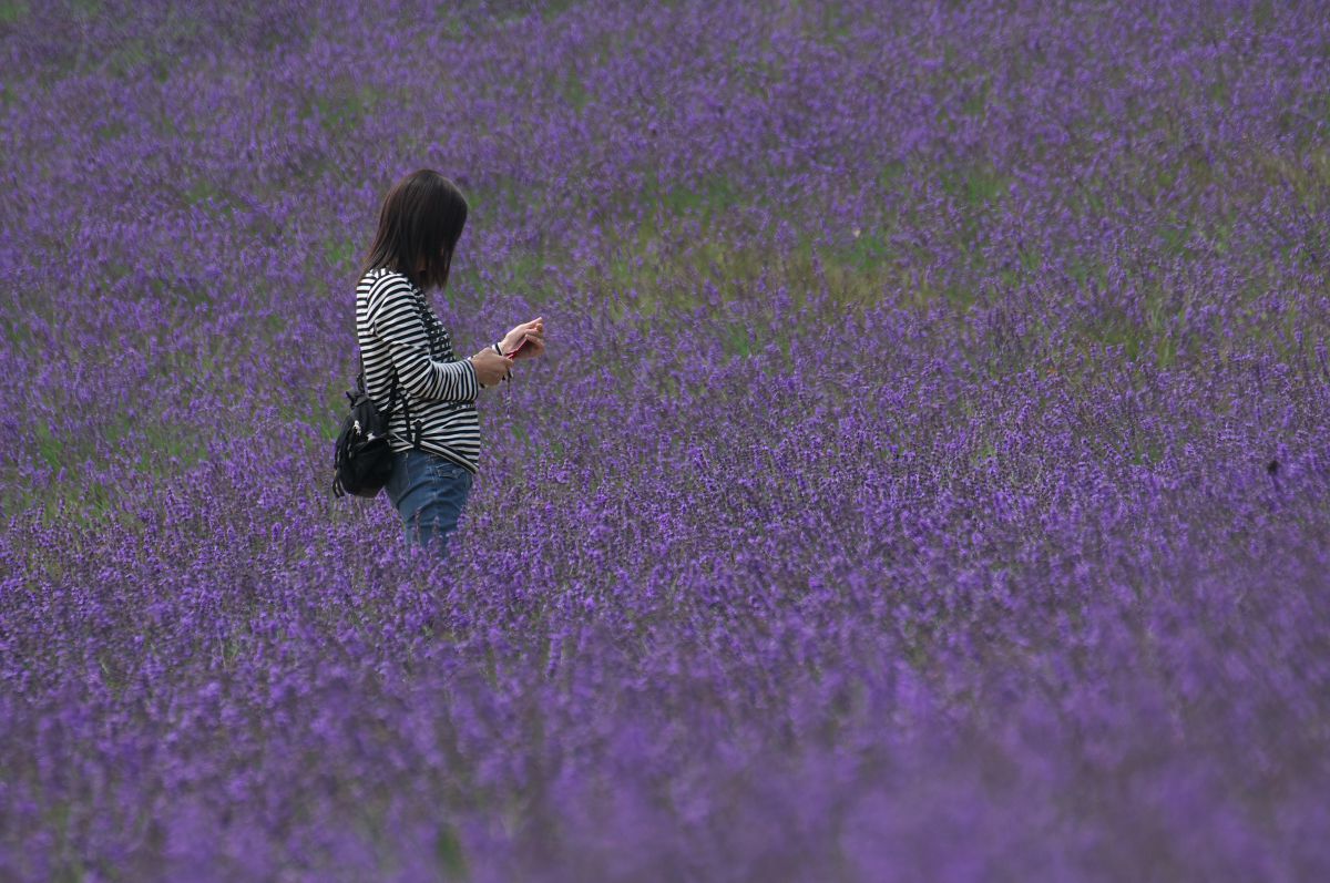 幸福なひととき【SILKYPIX現像バージョン】 | GANREF