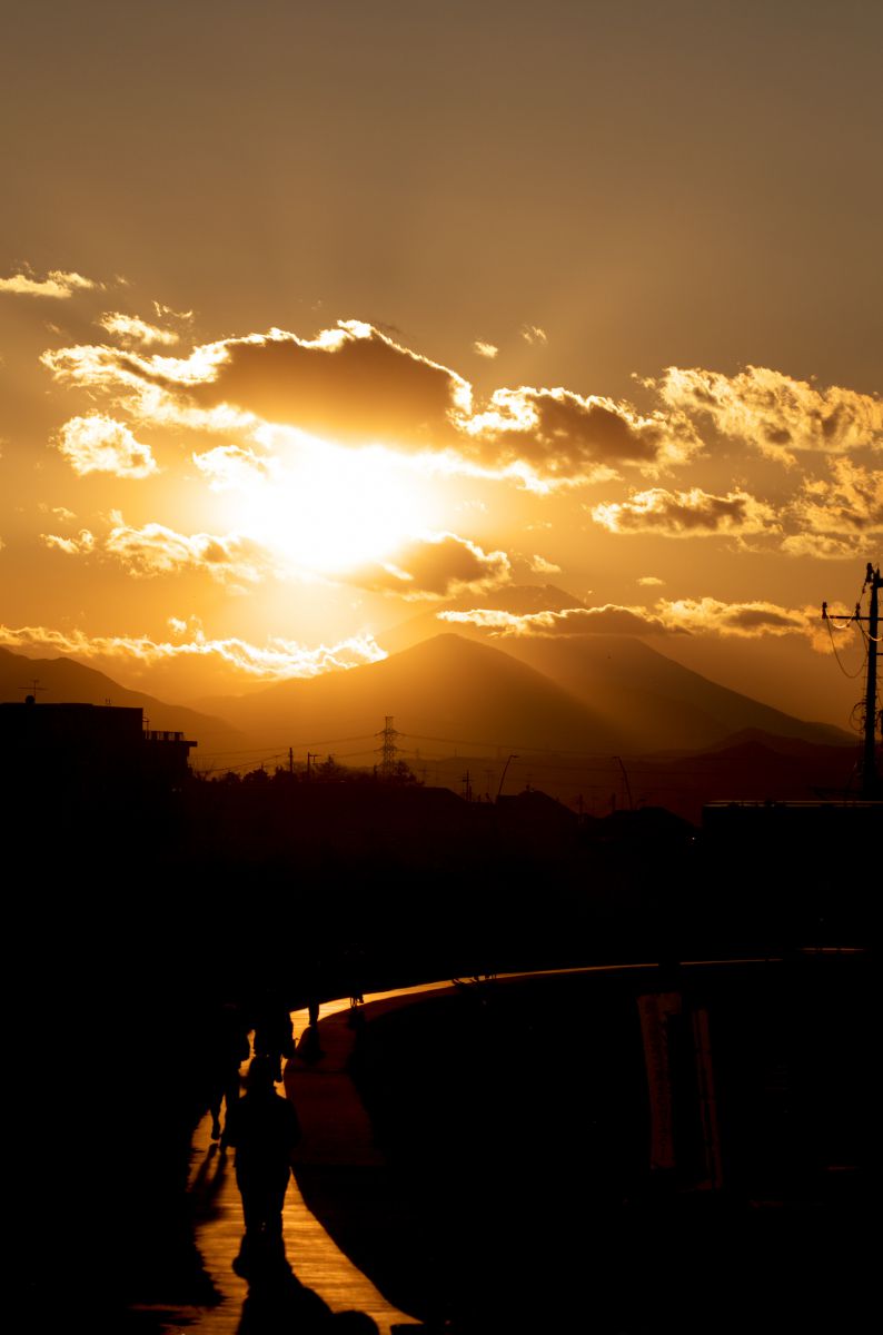 Orange World | GANREF